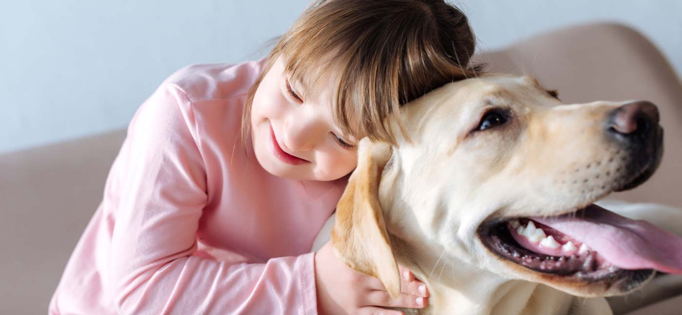 Gallery - Animal Medical of Salado