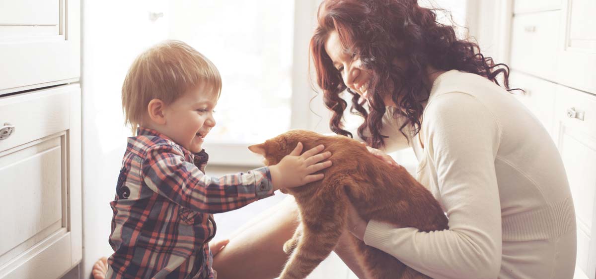 Gallery - Animal Medical of Salado